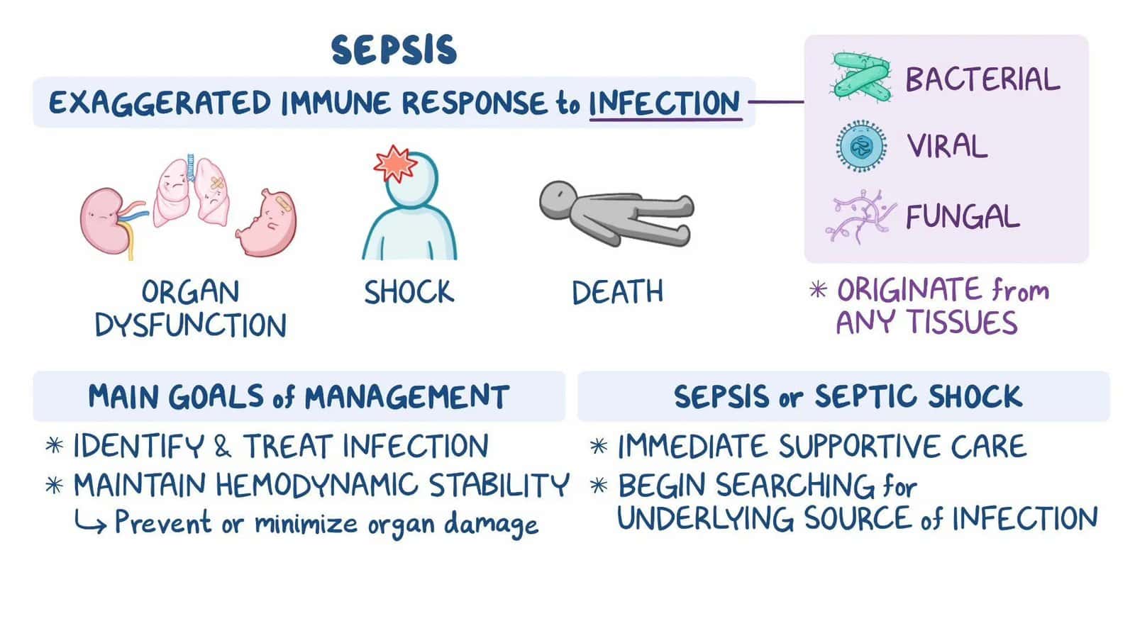 Approach To Sepsis and Septic Shock : Symptoms, Causes, and Treatment ...